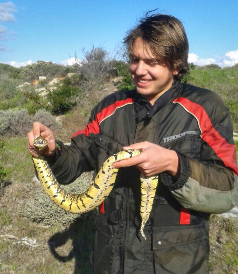 Snakes alive – Michelle Preen